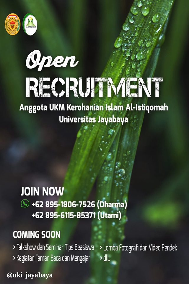 1 HARI JADI - PAMFLET, BANNER, ID CARD, DLL.