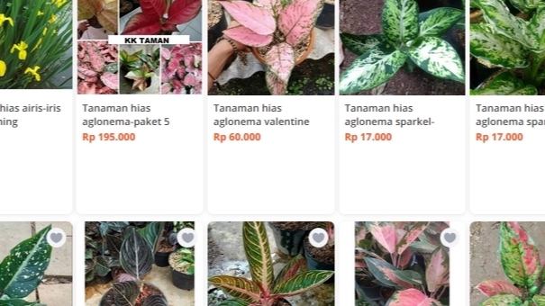 Jasa Upload Produk Marketplace Tokopedia Shopee Dan Tiktok Shop
