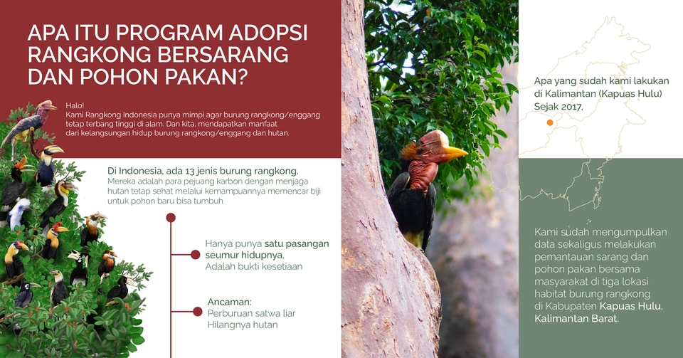 Jasa Layout Annual Report Perusahaan dan Pembuatan Infografis