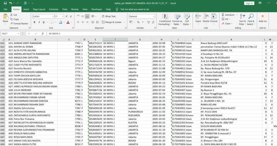 Entri Data Excel Terbaik