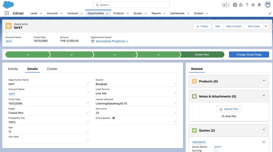 Salesforce developer and consultant