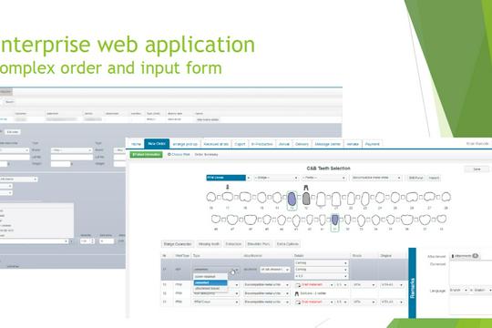 Enterprise web and mobile application