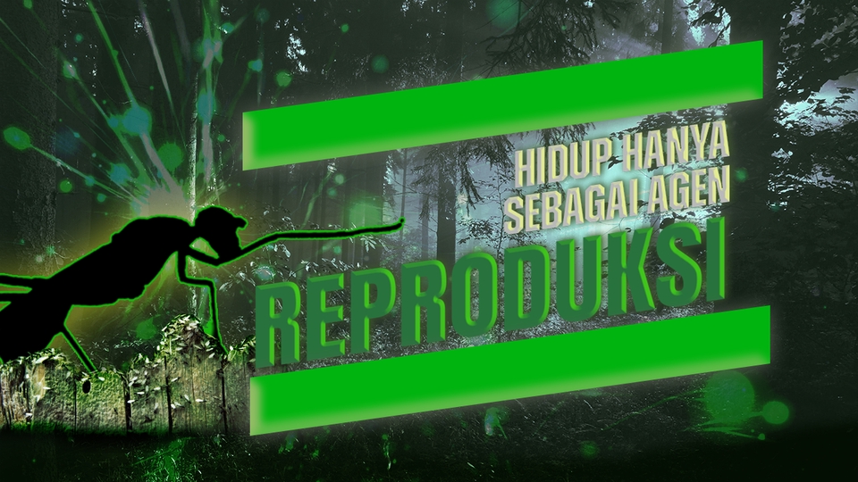 Design Youtube Thumbnail Unik dan Menarik