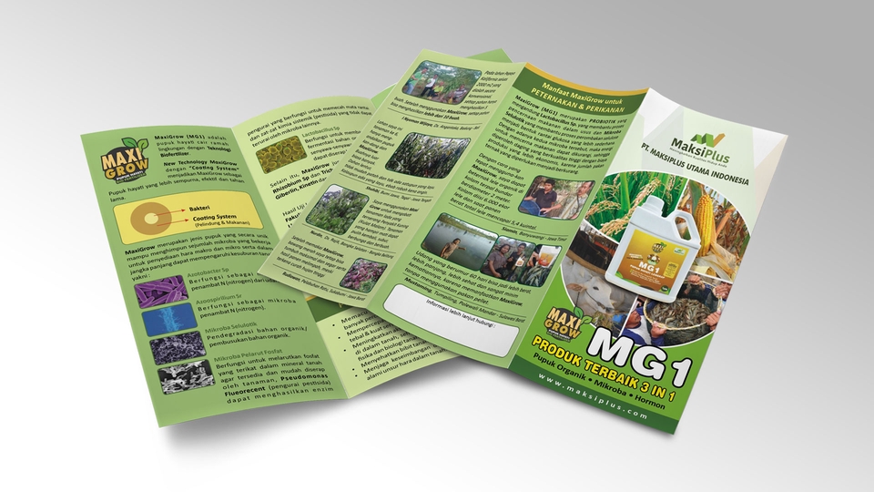 Desain Brosur, Flyer Profesional