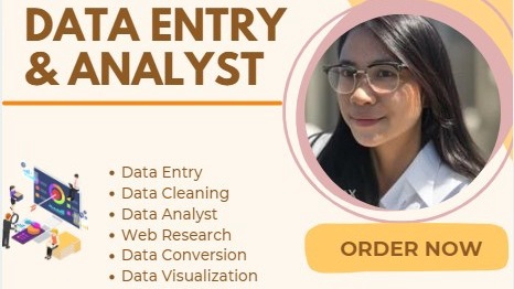 Data Entry dan Analayst