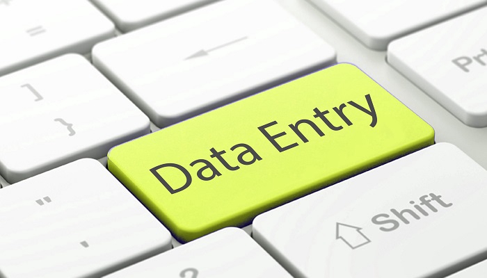 Data Entry Fast Respon