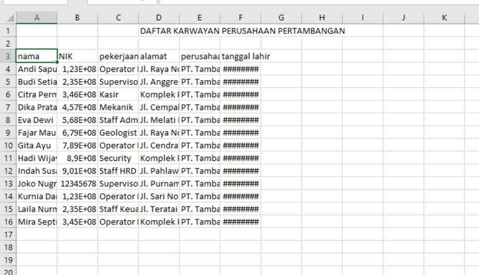 Input data ke Excel