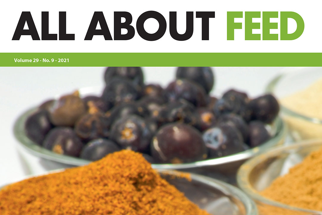 Introducing the 9th edition of All About Feed for 2021 - All About Feed