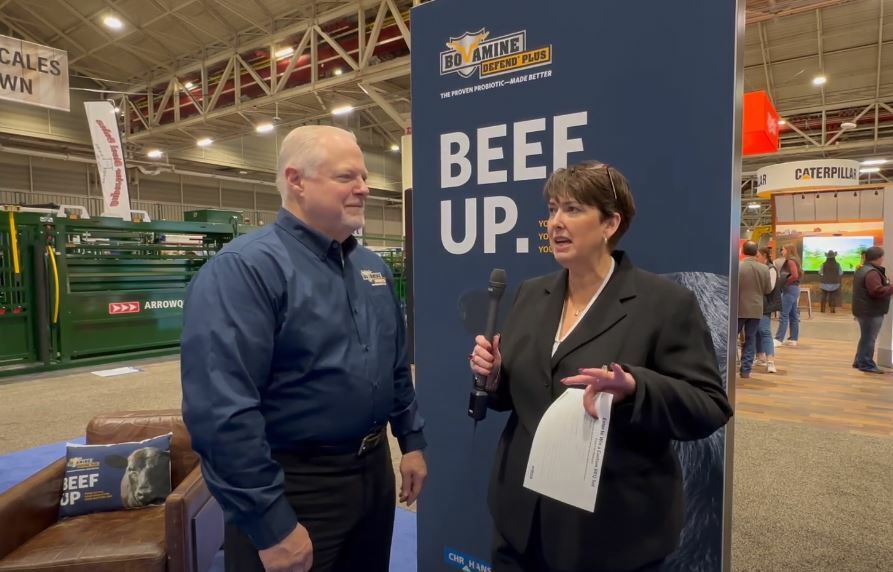 2023 NCBA: Christian Hansen launches Bovamine Defend Plus to feedlot market