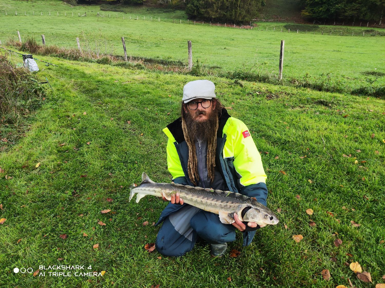 Last Starry Sturgeon caught | (Acipenser Stellatus) | FishFriender