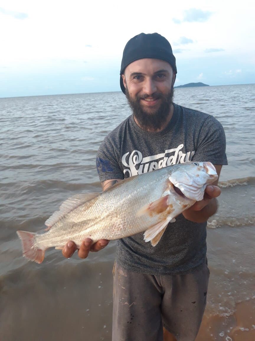 Last South American Silver Croaker caught | (Plagioscion Squamosissimus ...
