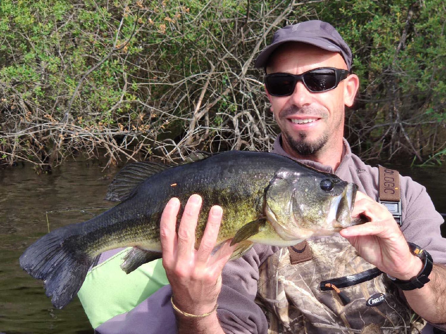 Les dernières prises de Achigan Tacheté | (Micropterus Punctulatus ...