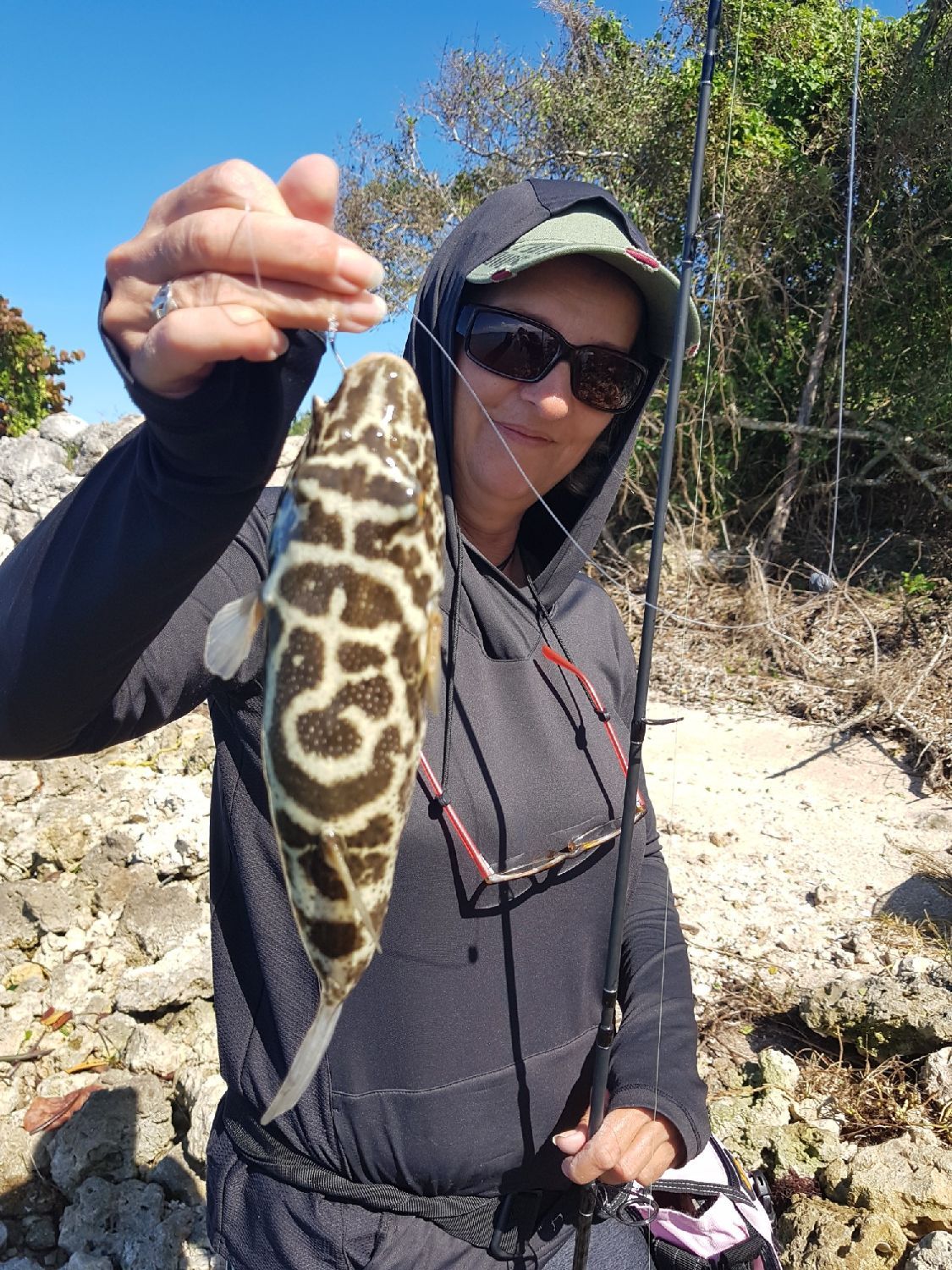 Best gear to fish Spot-Fin Porcupinefish | (Diodon Hystrix) | FishFriender