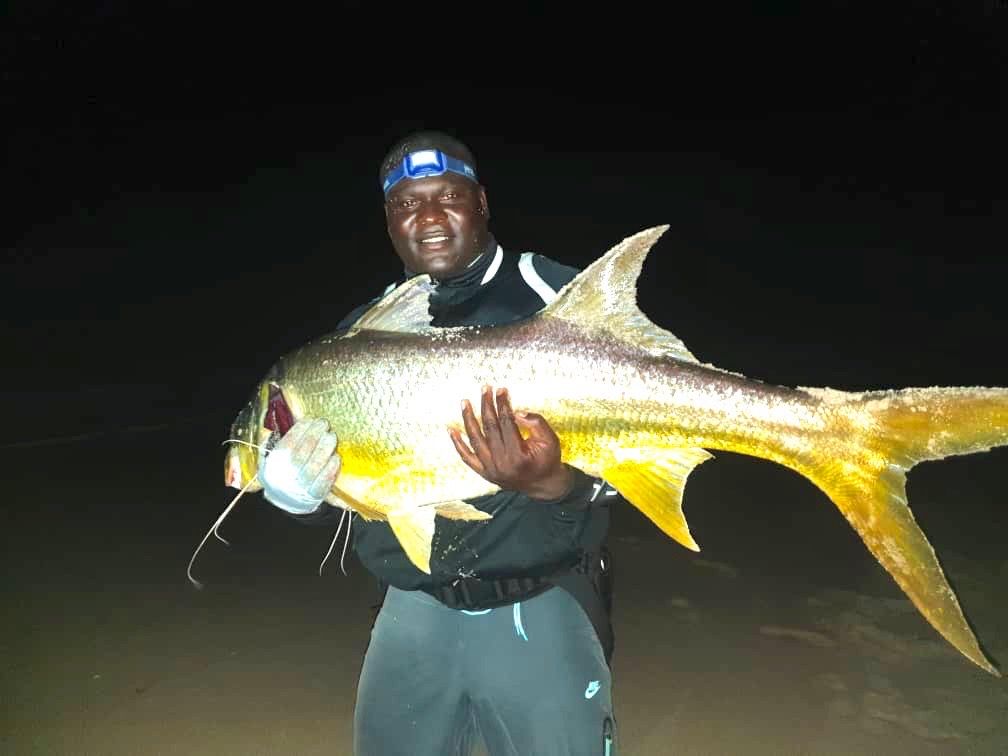 Last Giant African Threadfin caught | (Polydactylus Quadrifilis ...
