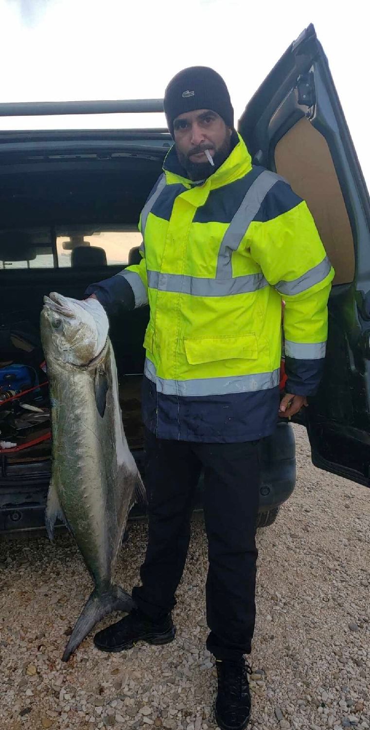 Best gear to fish Leerfish (Garrick) | (Lichia Amia) | FishFriender