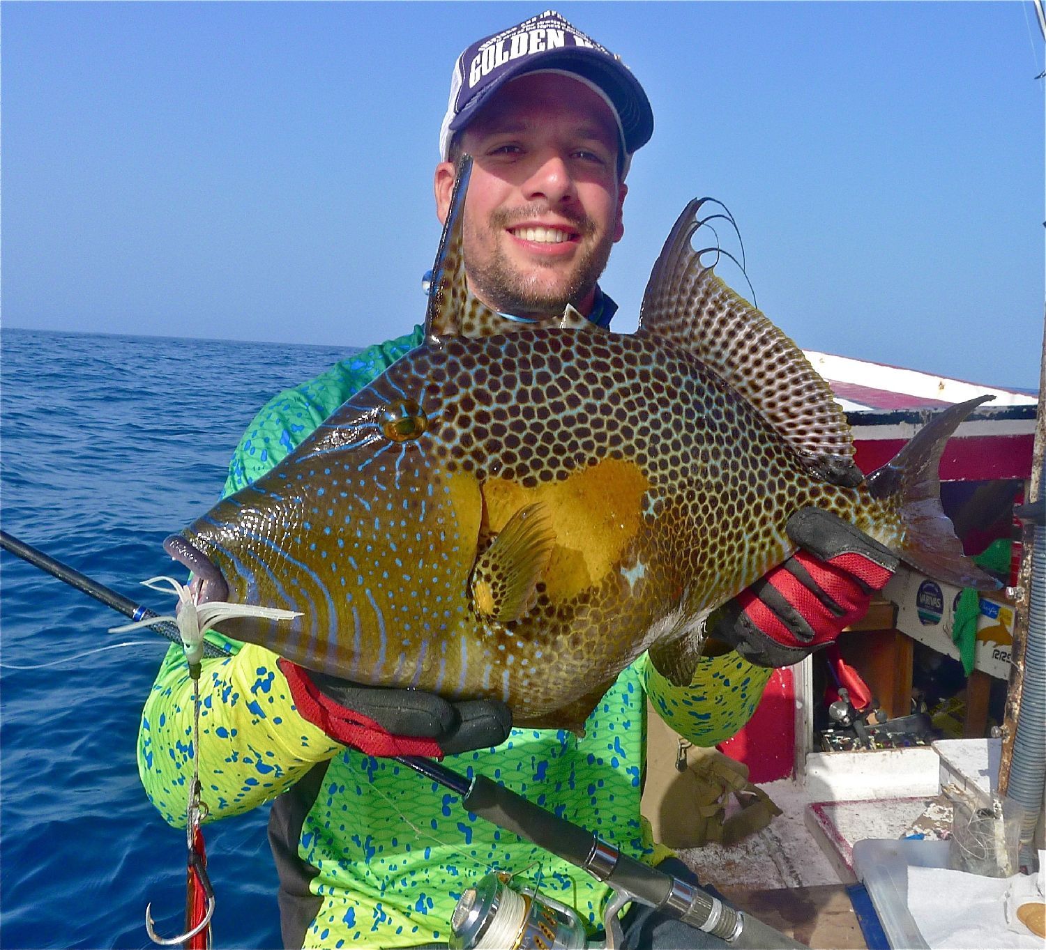 Best gear to fish Spotted Triggerfish | (Balistes Punctatus) | FishFriender