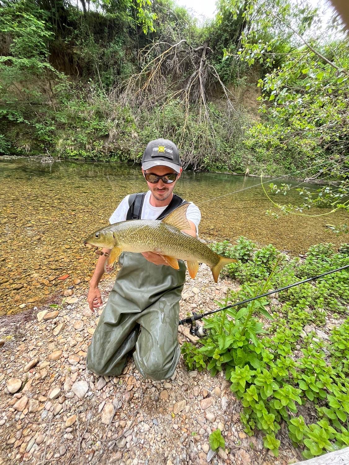 Last Barbel caught | (Barbus Barbus) | FishFriender