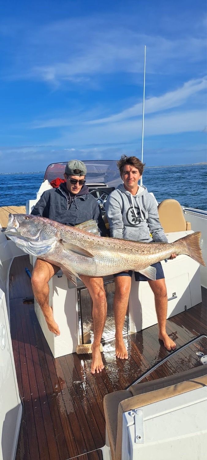 Last Meagre caught | (Argyrosomus Regius) | FishFriender