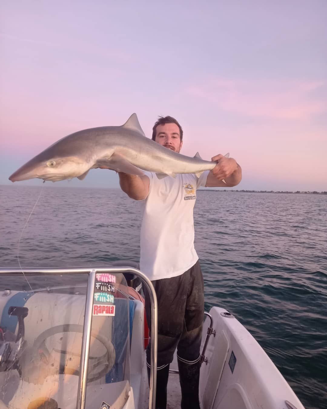 Last Common Smooth-hound caught | (Mustelus Mustelus) | FishFriender