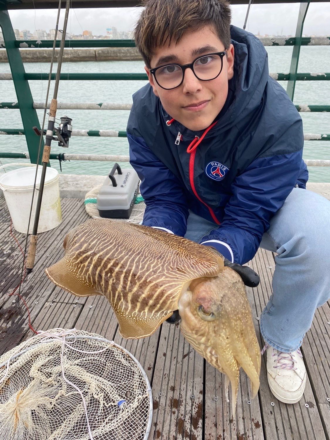 Last Common Cuttlefish caught | (Sepia Officinalis) | FishFriender