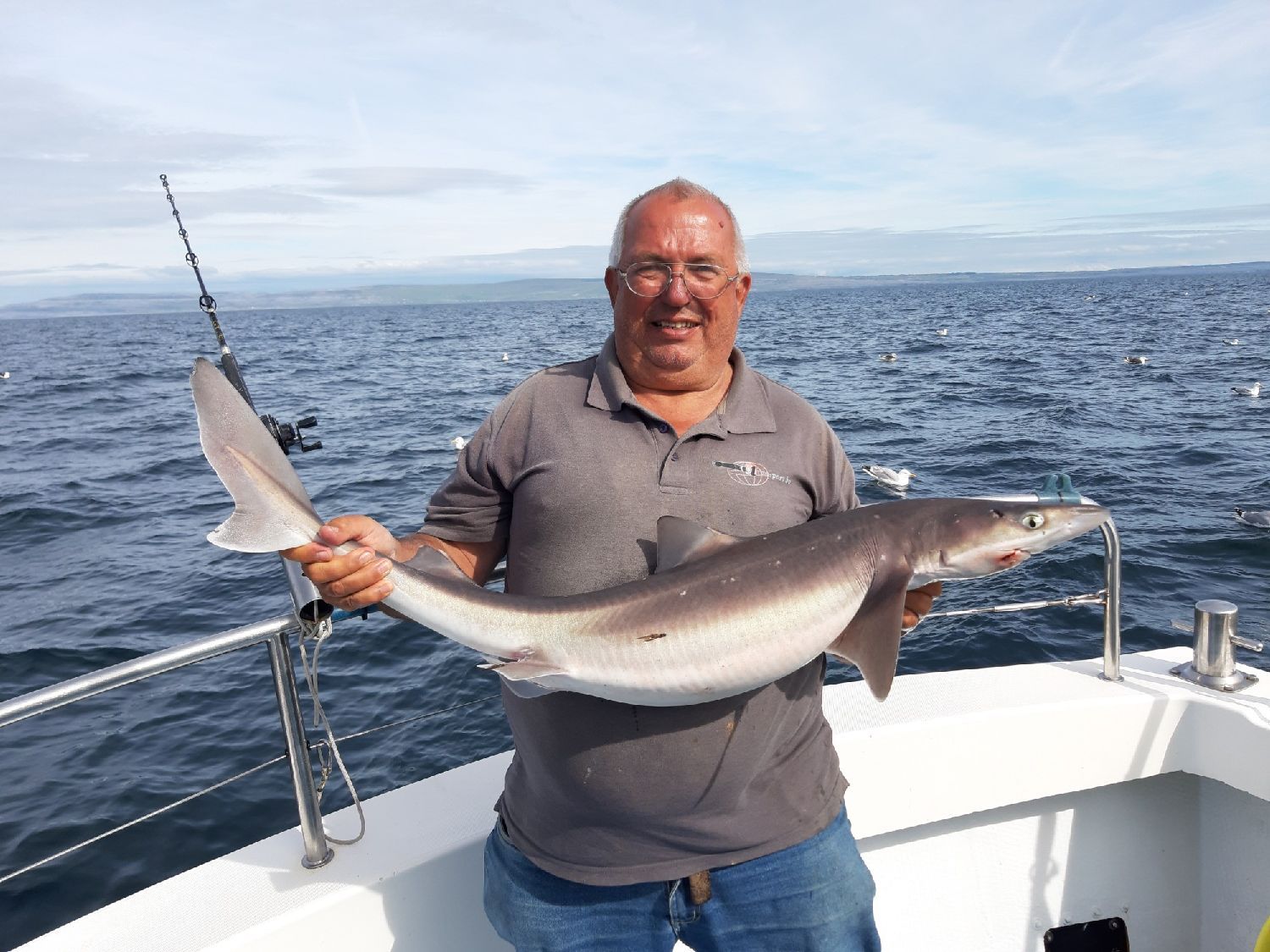 Last Shortnose Spurdog caught | (Squalus Megalops) | FishFriender
