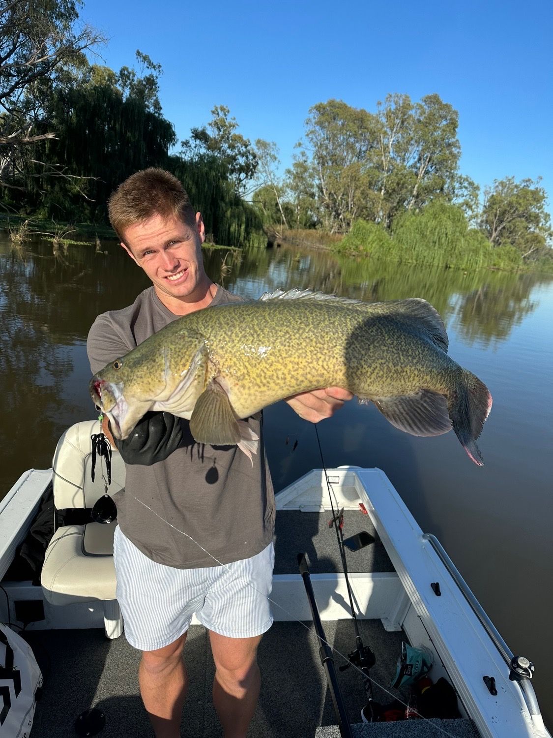 Last Murray Cod caught | (Maccullochella peelii) | FishFriender