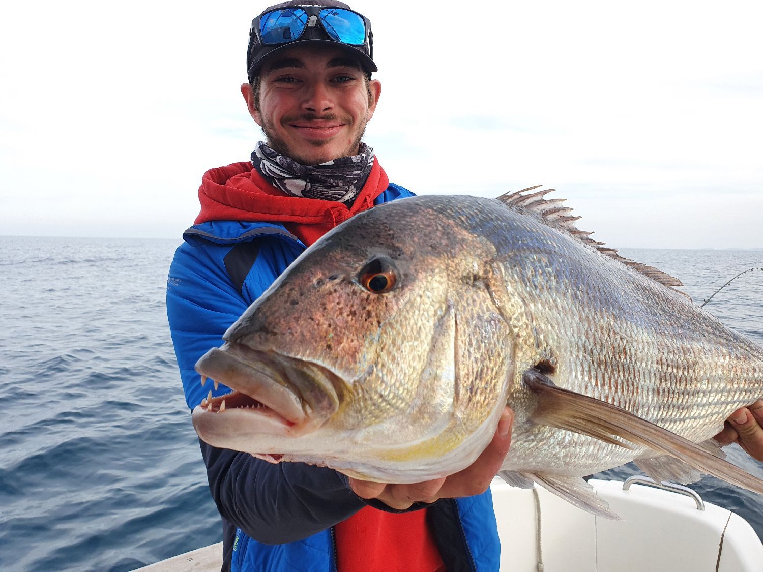 Best gear to fish Dentex | (Dentex Dentex) | FishFriender