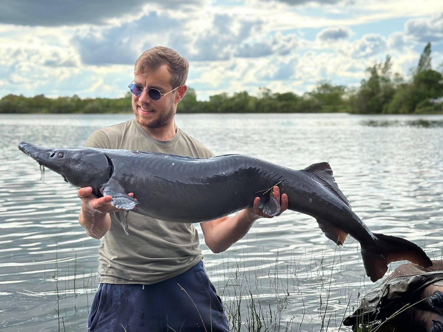 Last European Sturgeon caught | (Acipenser sturio) | FishFriender