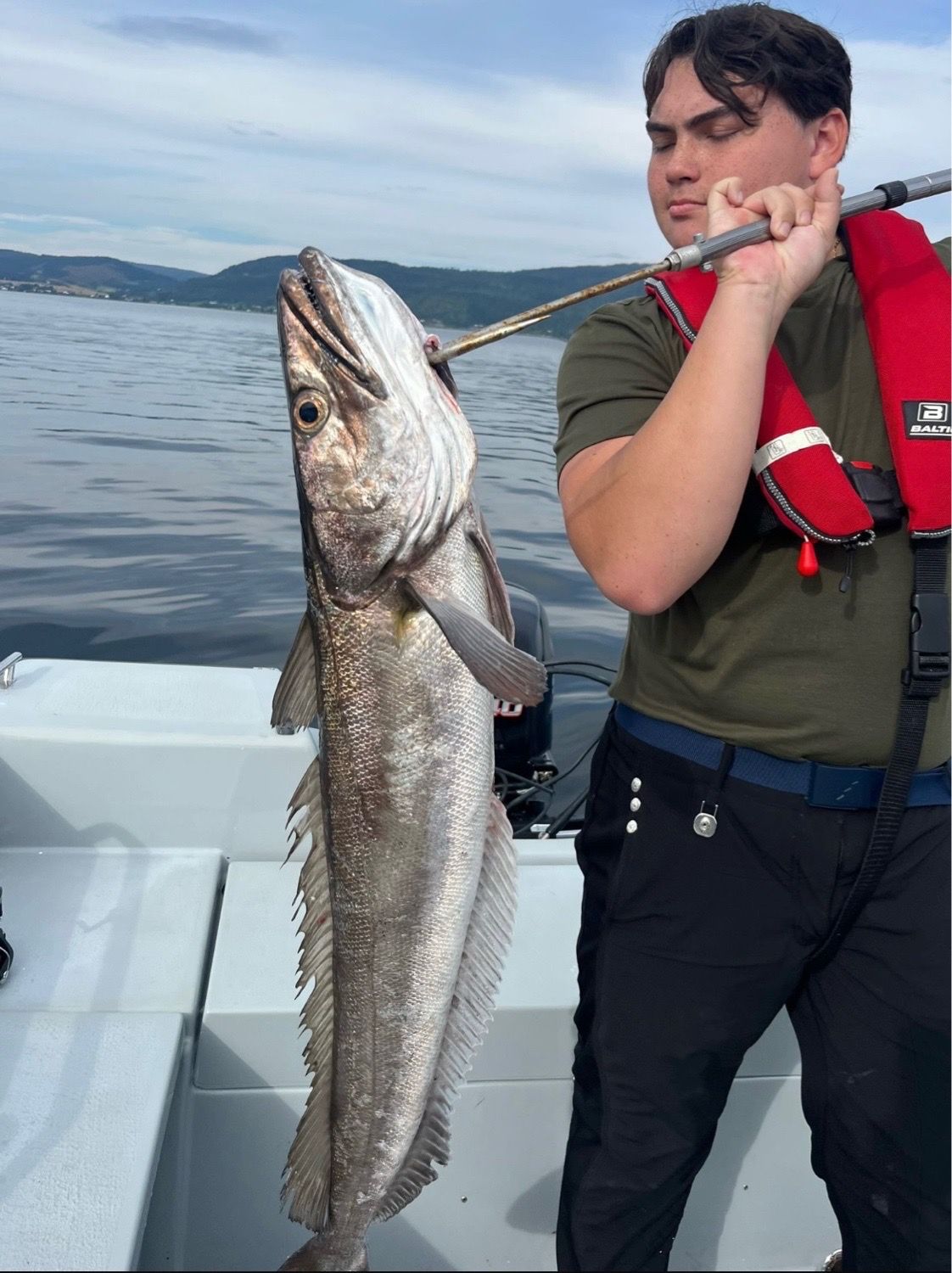 Last Hake caught | (Merluccius Merluccius) | FishFriender