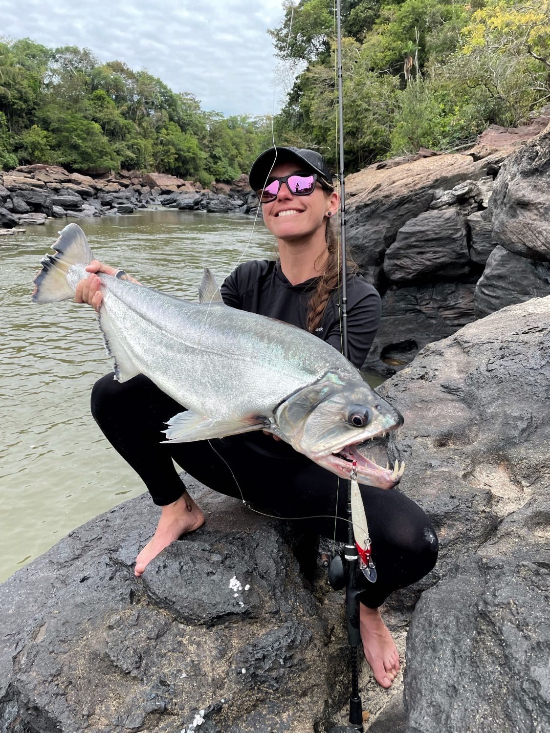 Tétra Vampire (Payara) : Fiche Espèce | (Hydrolycus Scomberoides ...