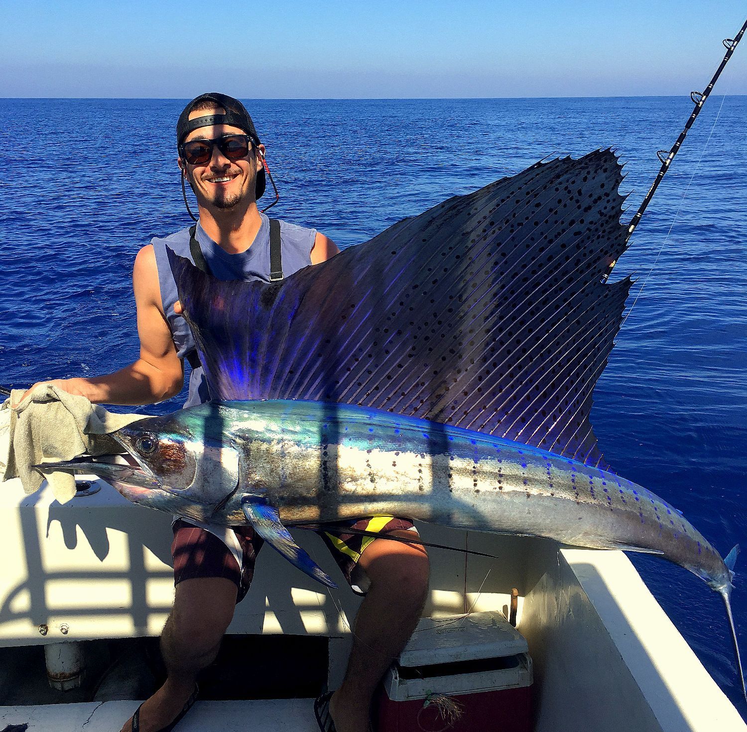 Last Pacific Sailfish caught | (Istiophorus Platypterus Pacific ...