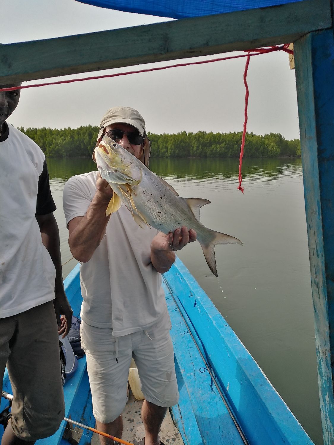 Last Giant African Threadfin caught | (Polydactylus Quadrifilis ...