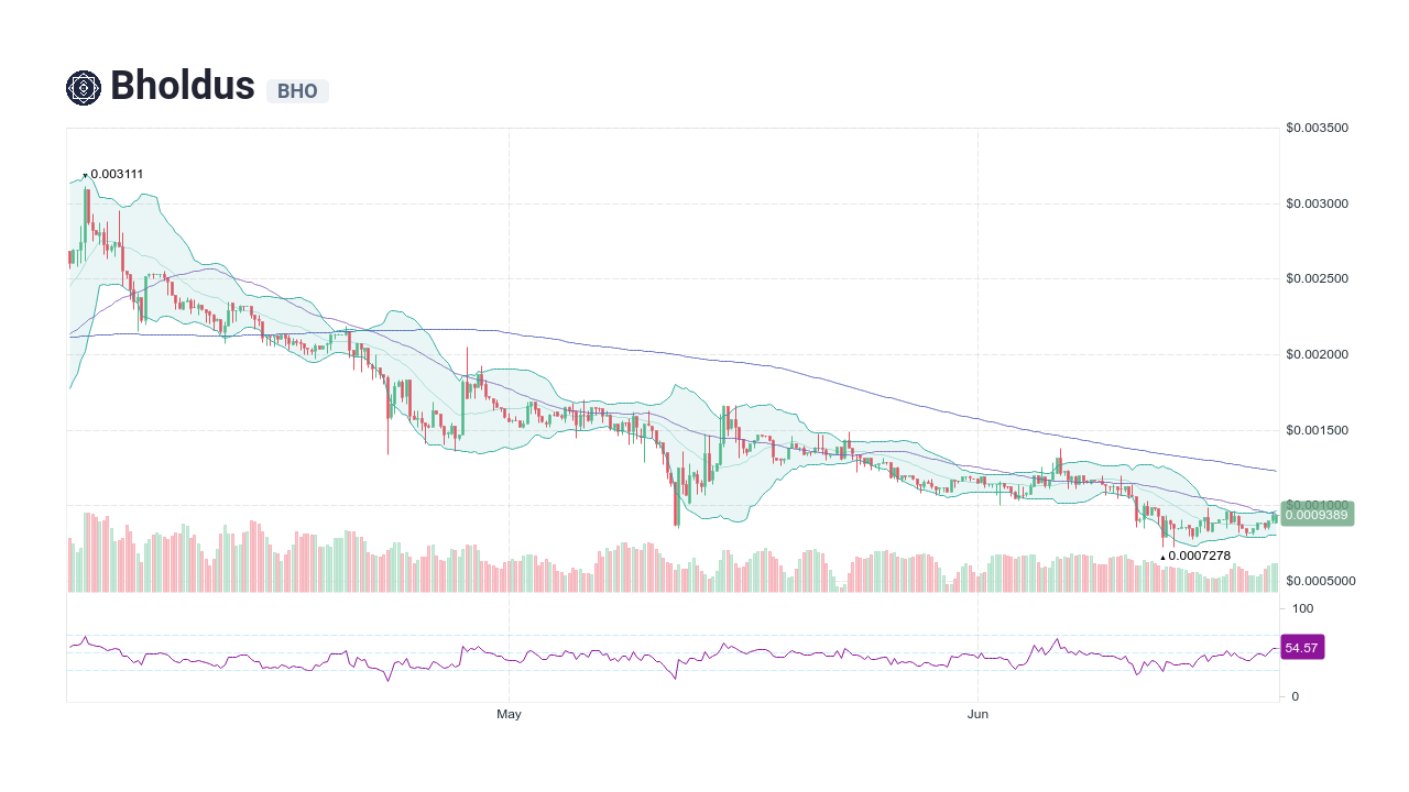 Bholdus [BHO] Live Prices & Chart