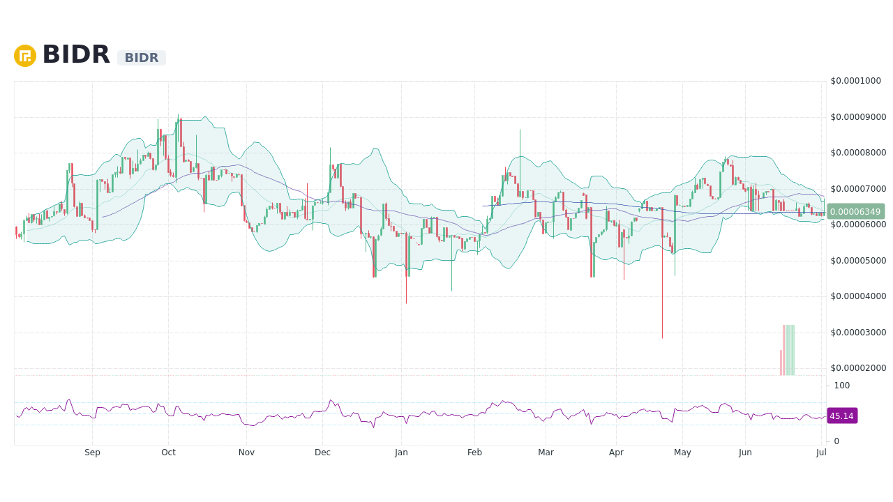 BIDR [BIDR] Live Prices & Chart