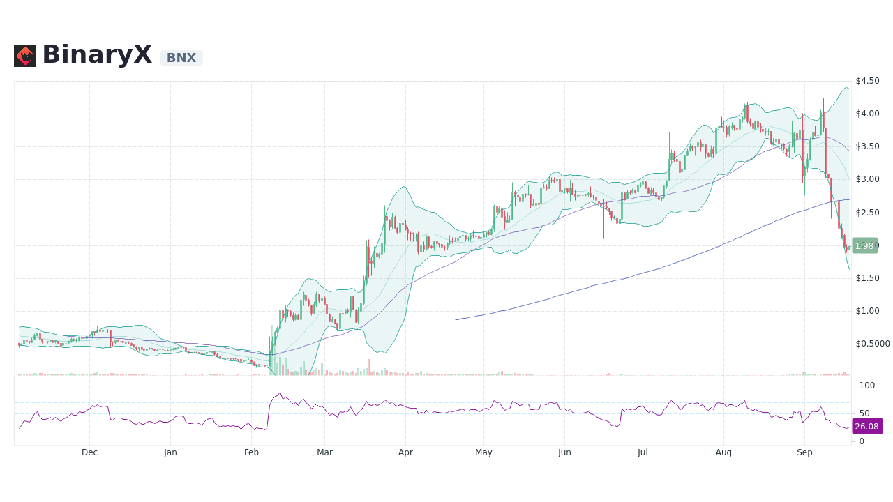 BinaryX [BNX] Live Prices & Chart