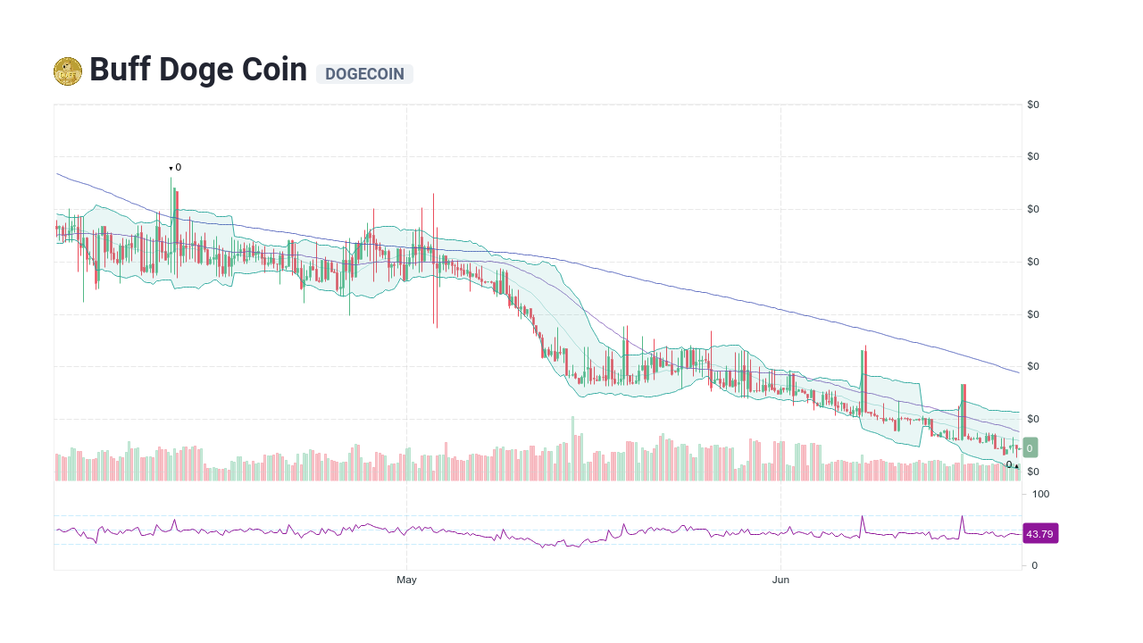 Buff Doge Coin [DOGECOIN] Live Prices & Chart