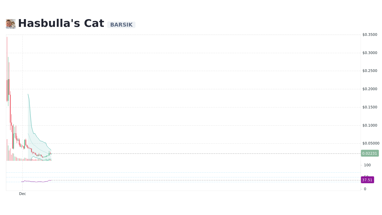 Hasbulla's Cat [BARSIK] Live Prices & Chart