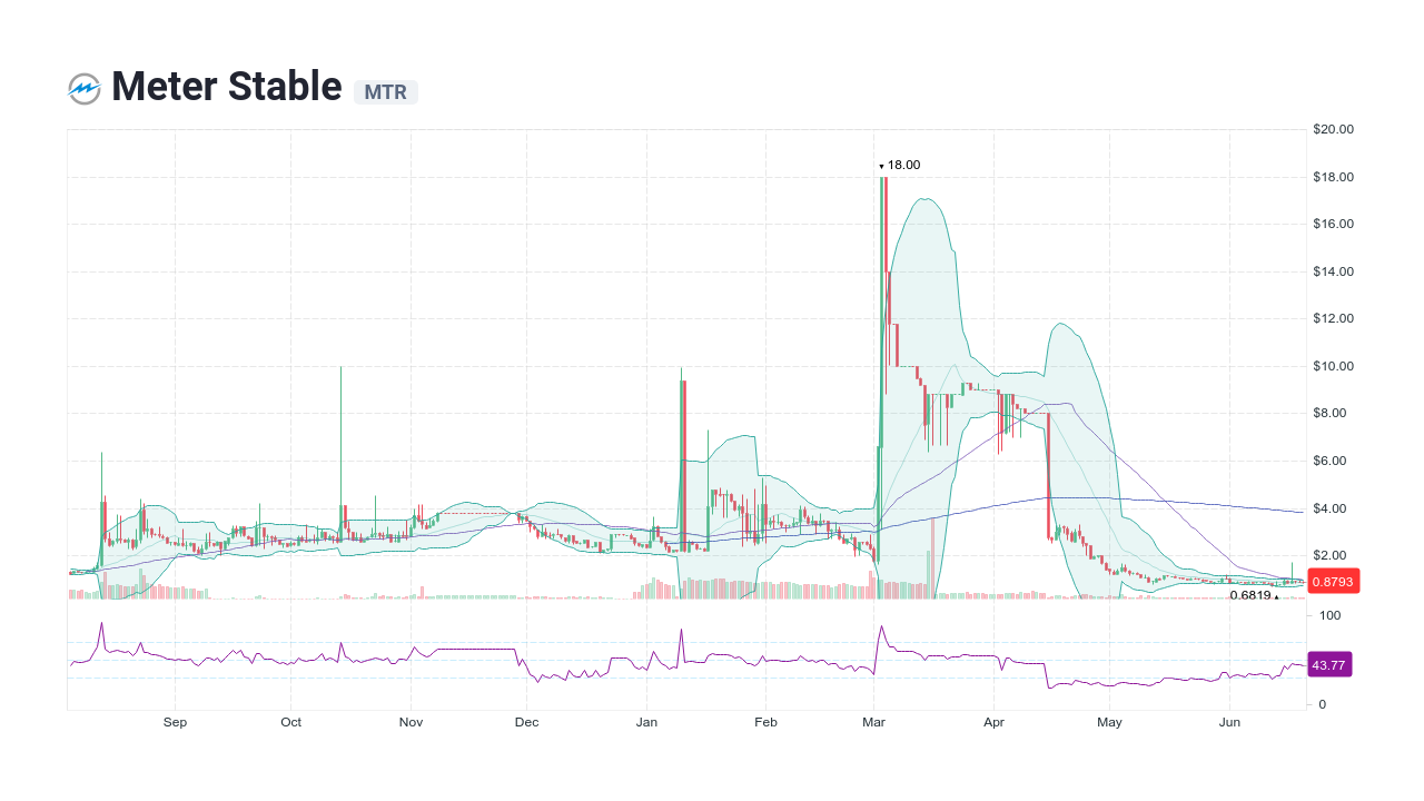 Meter Stable [MTR] Live Prices & Chart
