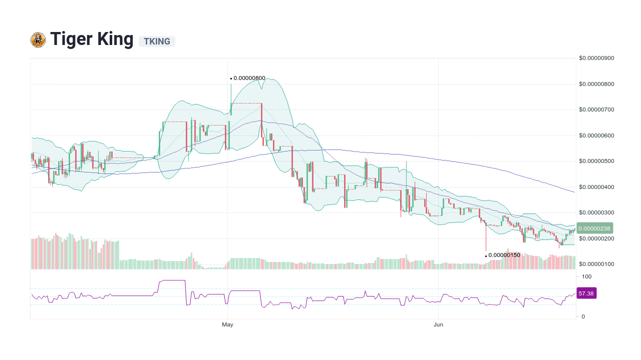 Tiger King [TKING] Live Prices & Chart