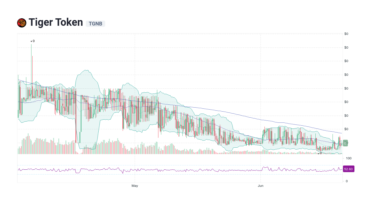 Tiger Token [TGNB] Live Prices & Chart