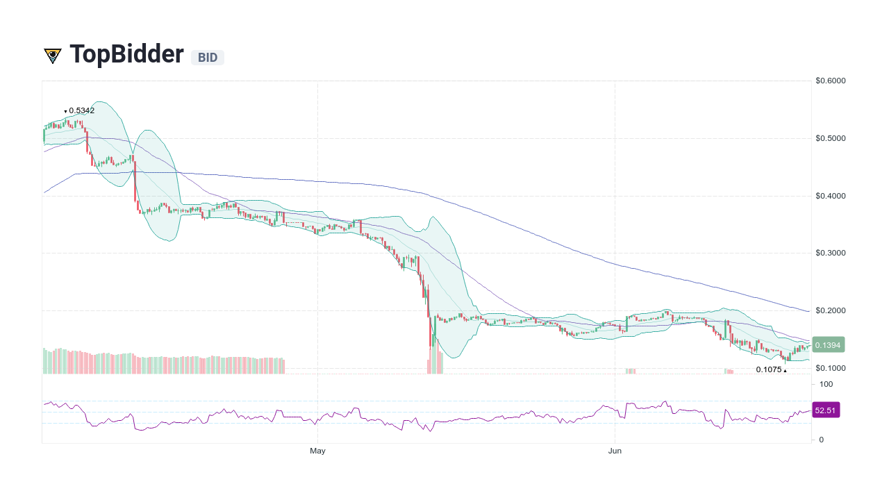 TopBidder [BID] Live Prices & Chart