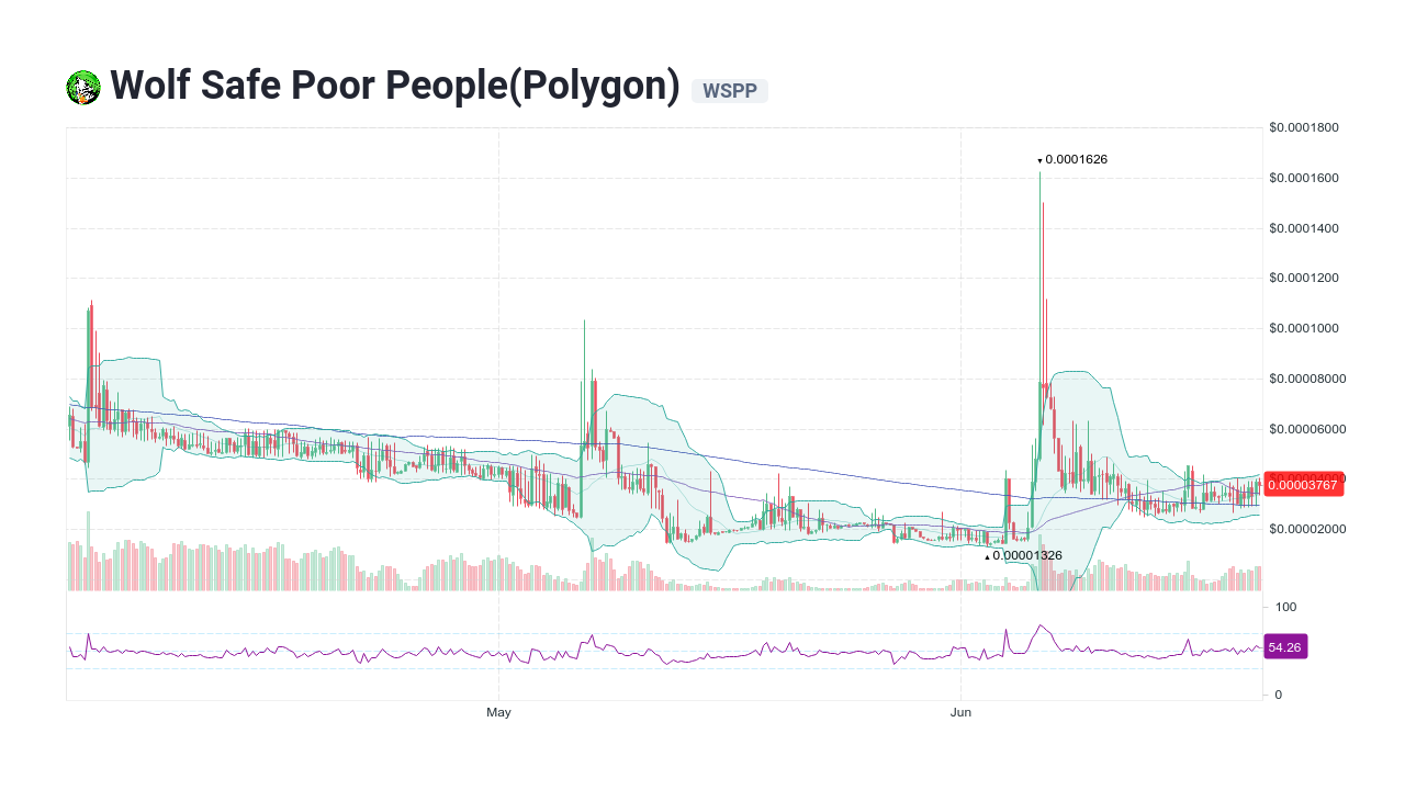 Wolf Safe Poor People(Polygon) [WSPP] Live Prices & Chart