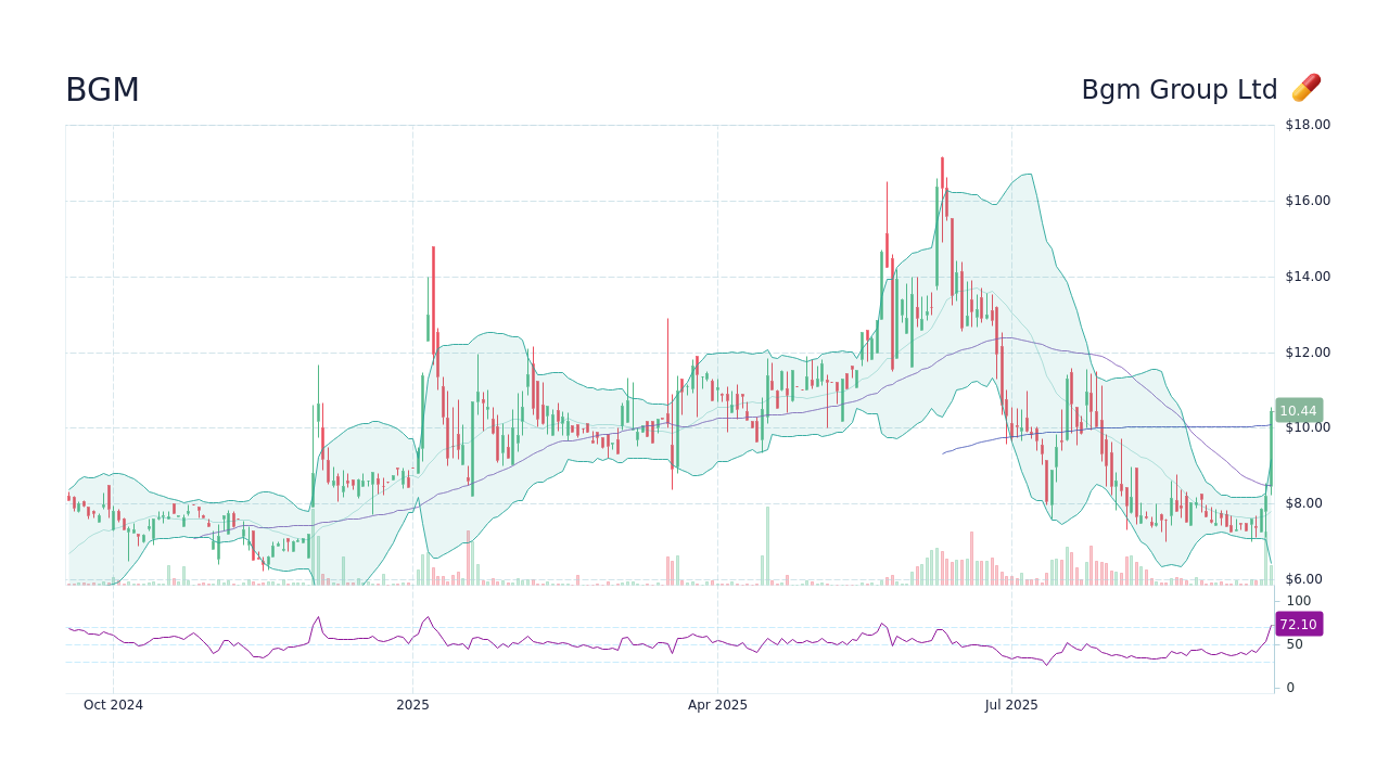 BGM Stock Price - Bgm Group Ltd Stock Candlestick Chart - StockScan