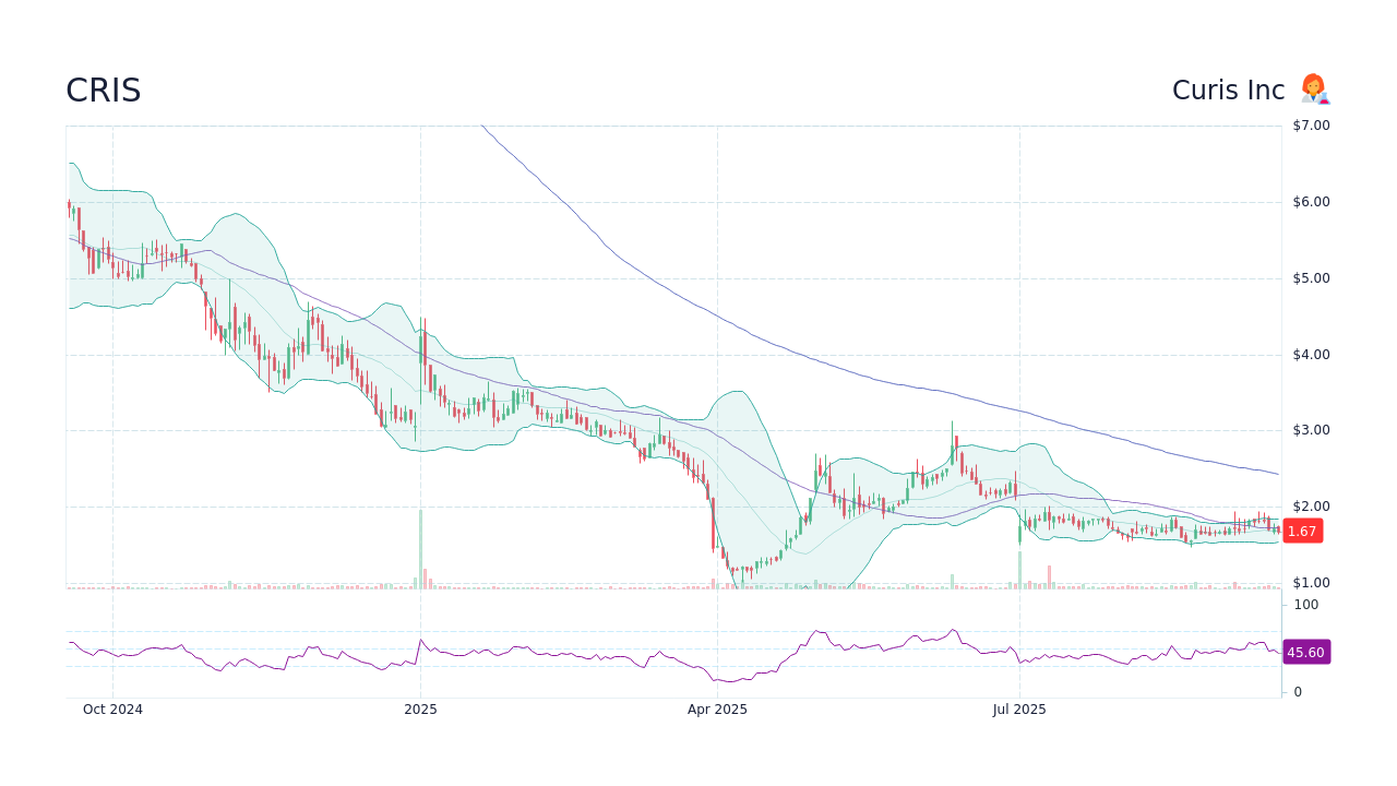 CRIS - Curis Inc Stock Price Forecast 2026, 2027, 2030 to 2050 - StockScan