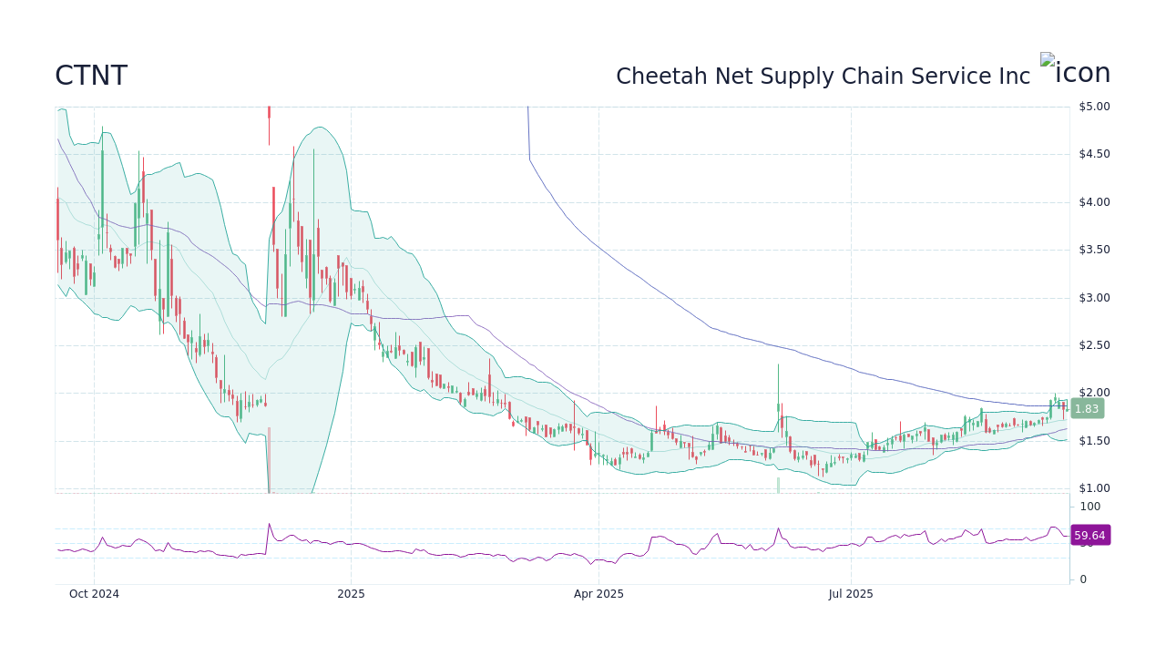 CTNT - Cheetah Net Supply Chain Service Inc Stock Price Forecast 2026 ...