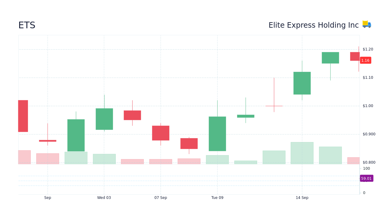 ETS - Elite Express Holding Inc Stock Price Forecast 2025, 2026, 2030 ...
