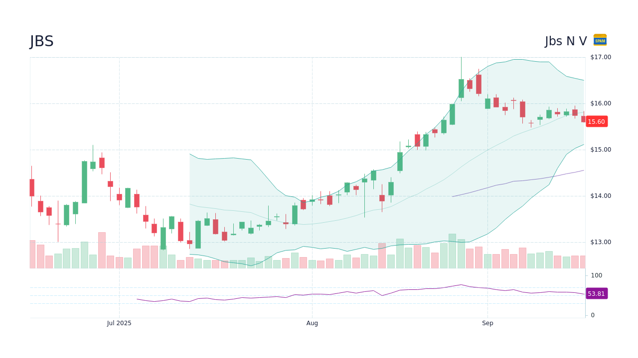 JBS Stock Price - Jbs N V Stock Candlestick Chart - StockScan