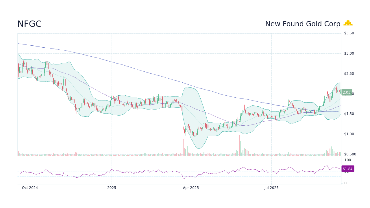 New Found Gold Corp【NFGC】：株価・チャート - StockScan