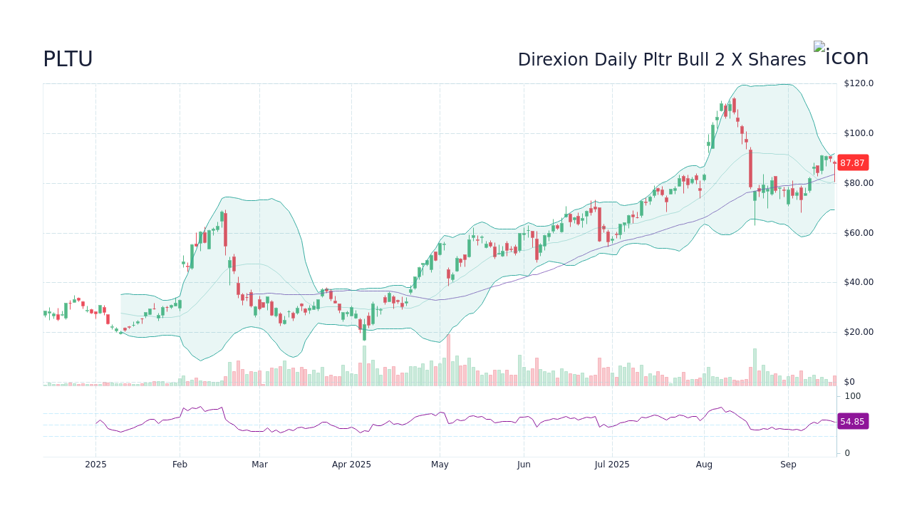 Direxion Daily Pltr Bull 2 X Etf (PLTU) Stock Price History & Other ...