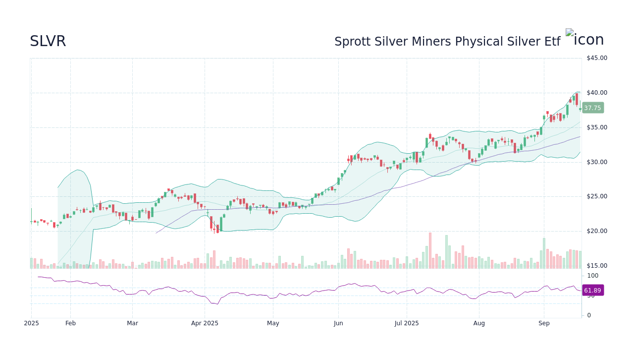 SLVR Stock Price - Sprott Silver Miners Physical Silver Etf Stock ...